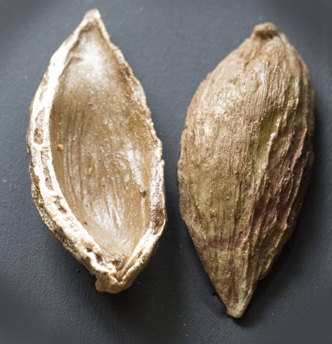 Moth Pod Mould – Berries, Pods & Fillers - The Imagique Group