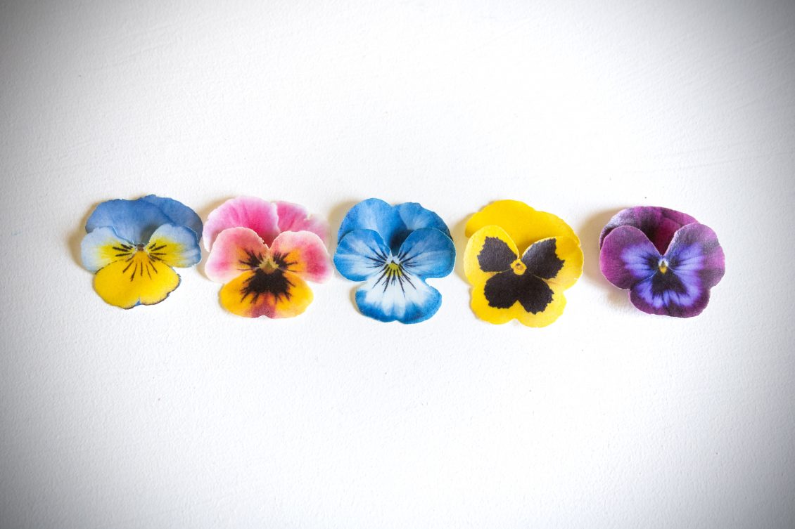 Make-a-Pansy - Wafer Paper Flowers Kits - The Imagique Group