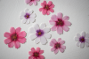 Make - a - Cosmos Wafer Paper Flower Kit - The Imagique Group