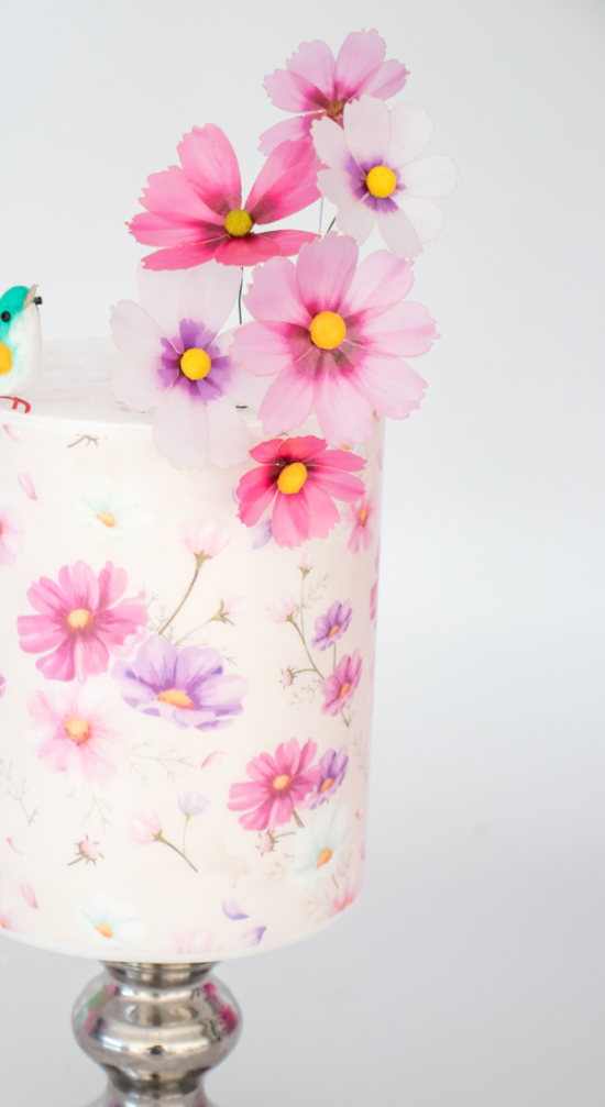 Exclusive Wafer Paper Designer Kit 26 – The Imagique Group